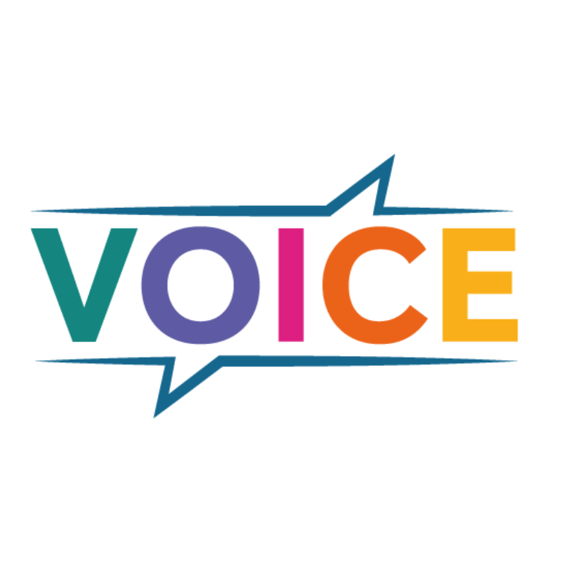 Team | VOICE